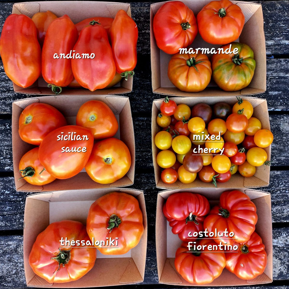 Heirloom Tomato Varieties A Guide To Tomato Varieties