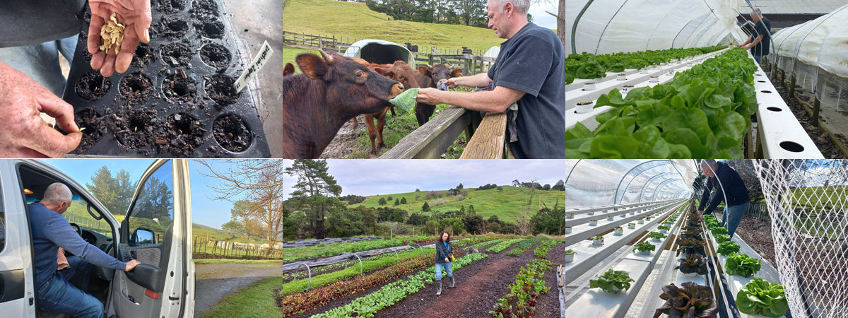 Spring 2021 at Salty River Farm – Salty River Farm shop