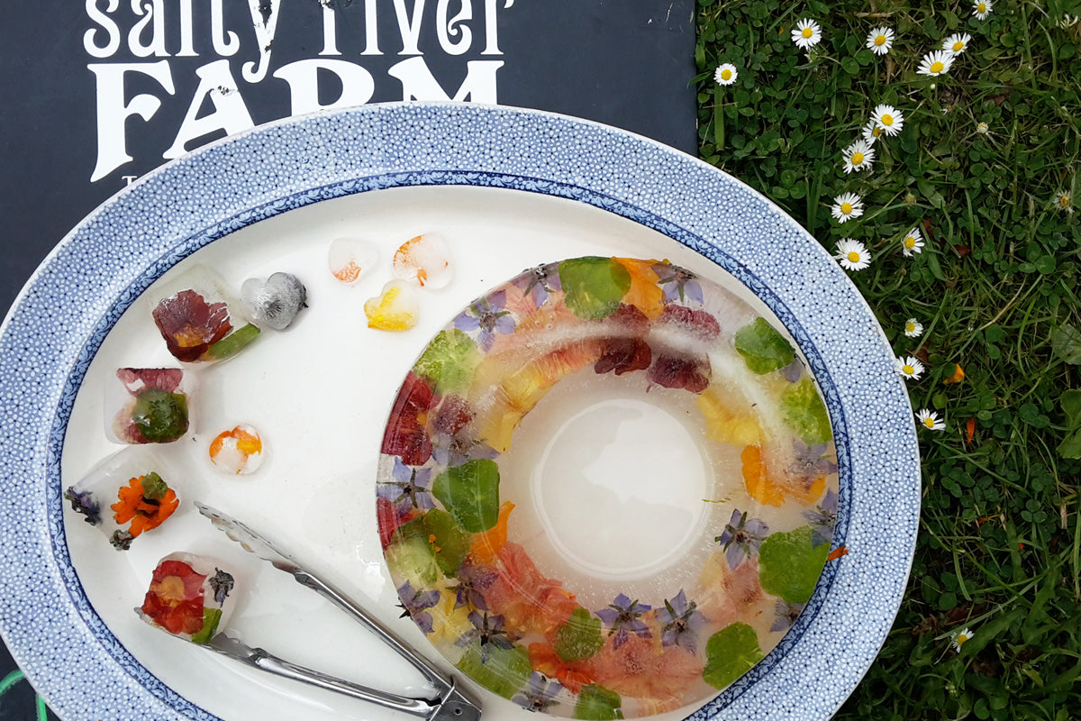 Edible flower ice cubes, ice rings and ice bowls! – Salty River Farm shop