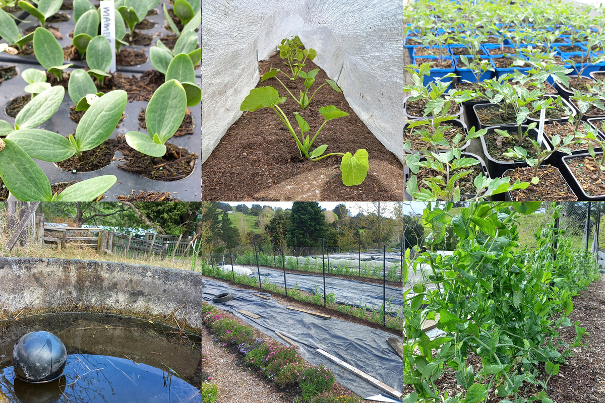 Spring - where have you been all winter? – Salty River Farm shop