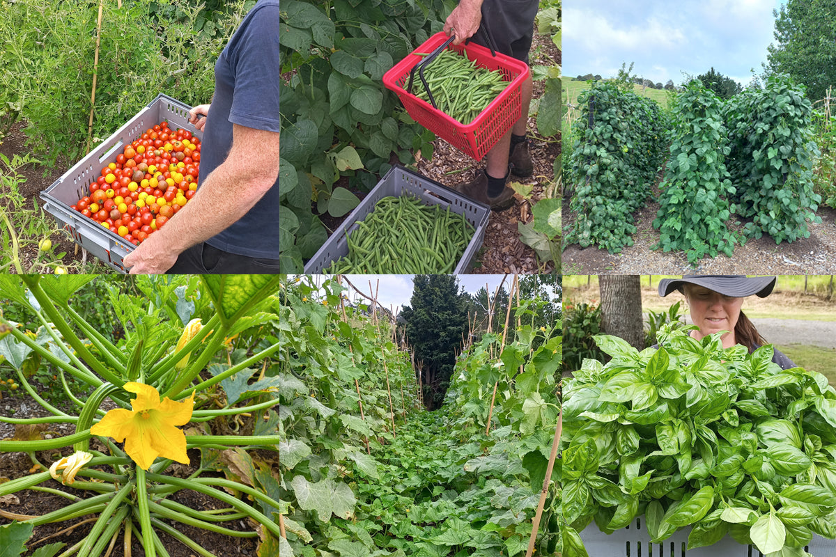 Flat-tack-Summer '23-24 – Salty River Farm shop