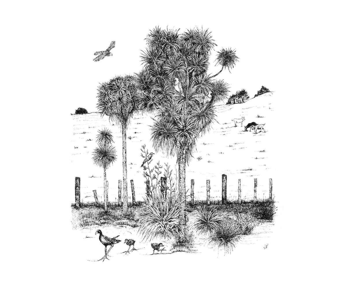 Cabbage tree illustration, A3 - unframed art print - NZ wide shipping ...